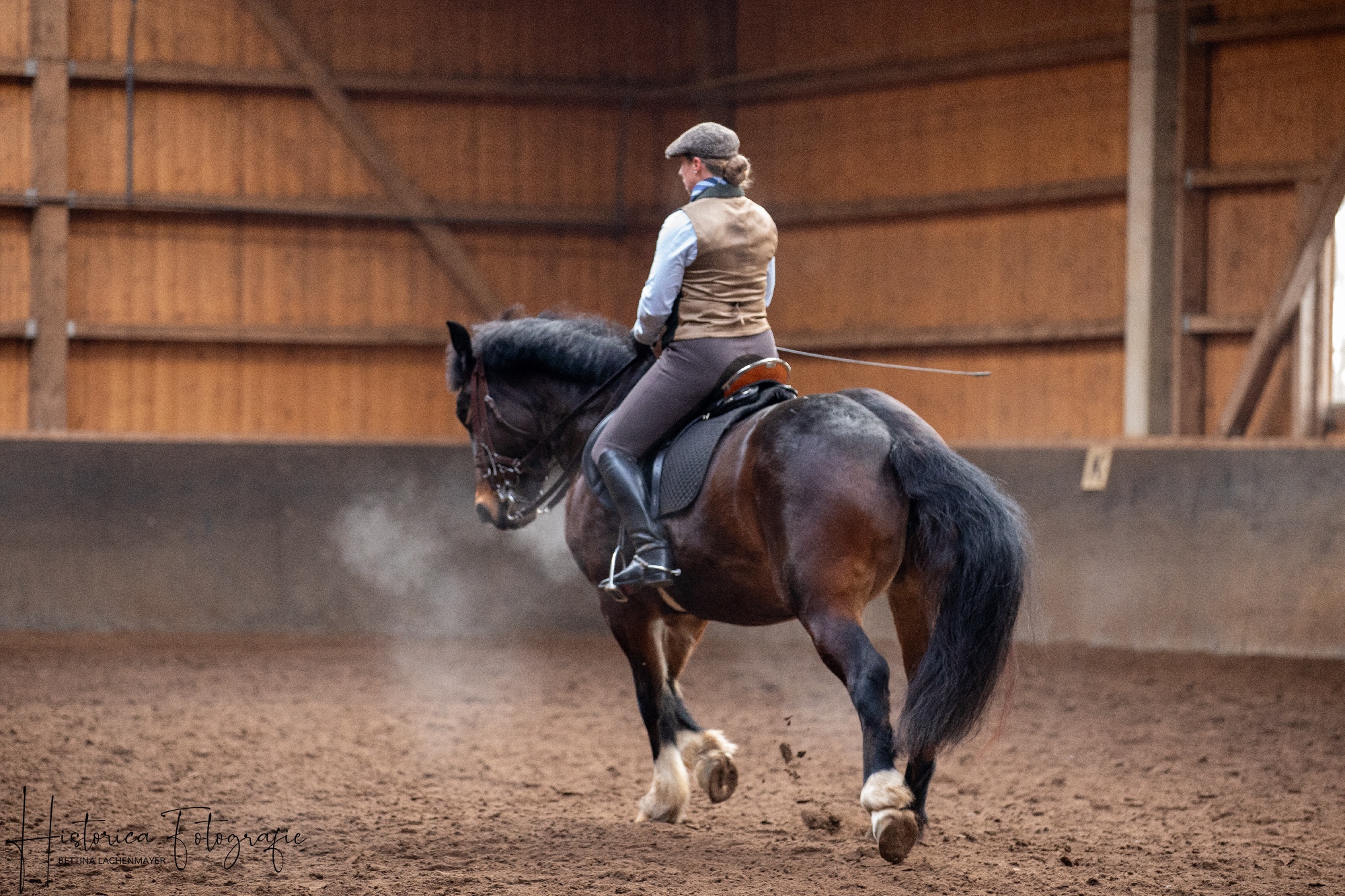 Dabei bestimmt das Pferd Tempo und Rhythmus.