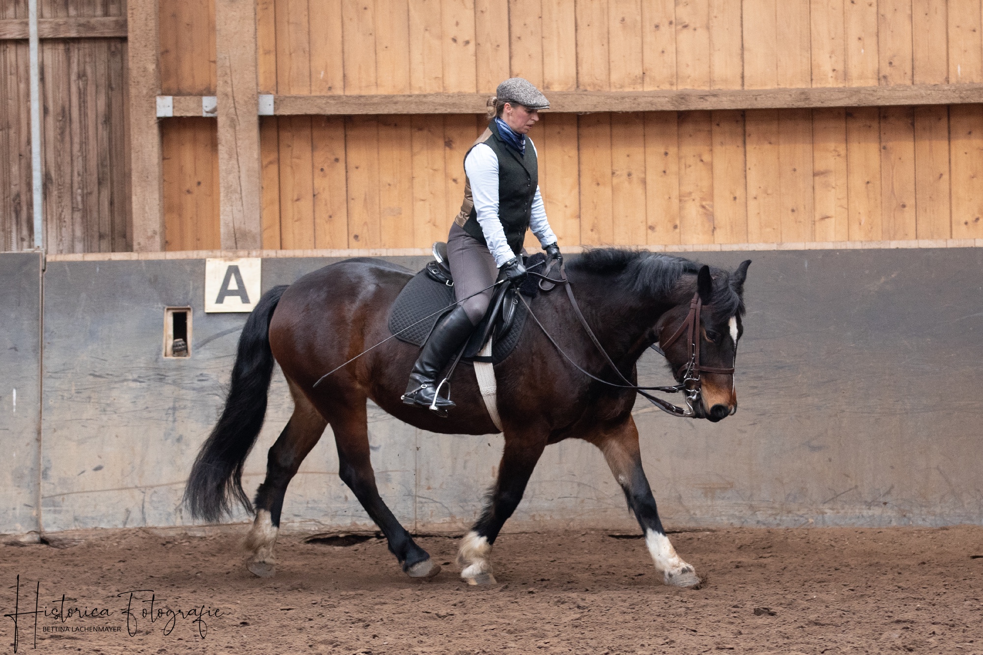 Dabei bestimmt das Pferd Tempo und Rhythmus.